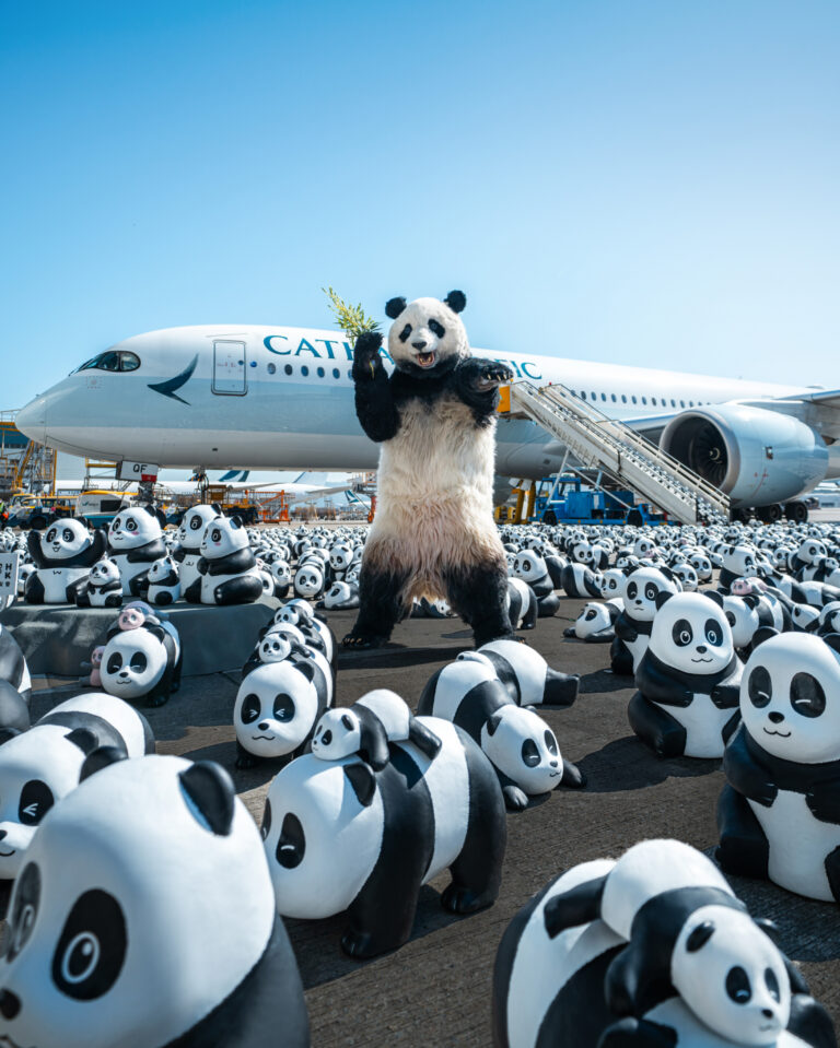 Pandas travel all over Hong Kong! Pandas made by special modeling ...